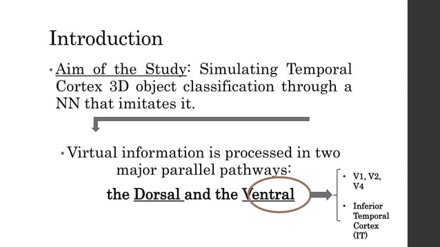 An Inferior Temporal Cortex Model Ppt