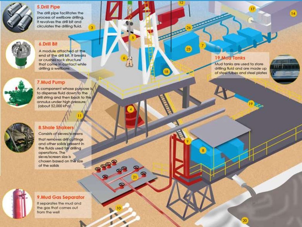 What Are The Components Of Oil at Jacqueline Sadler blog