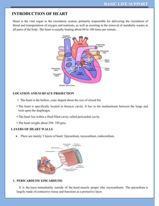 An informational booklet on Basic Life Support | PDF