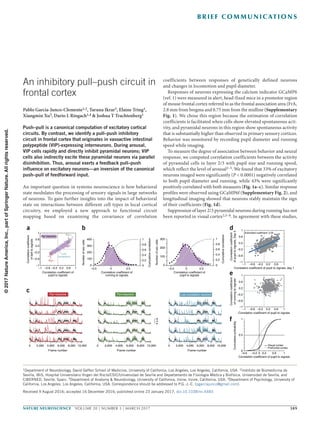 An inhibitory pull–push circuit in frontal cortex | PDF | Biological Sciences | Science