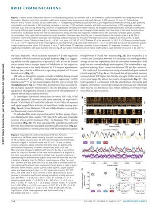 An inhibitory pull–push circuit in frontal cortex | PDF