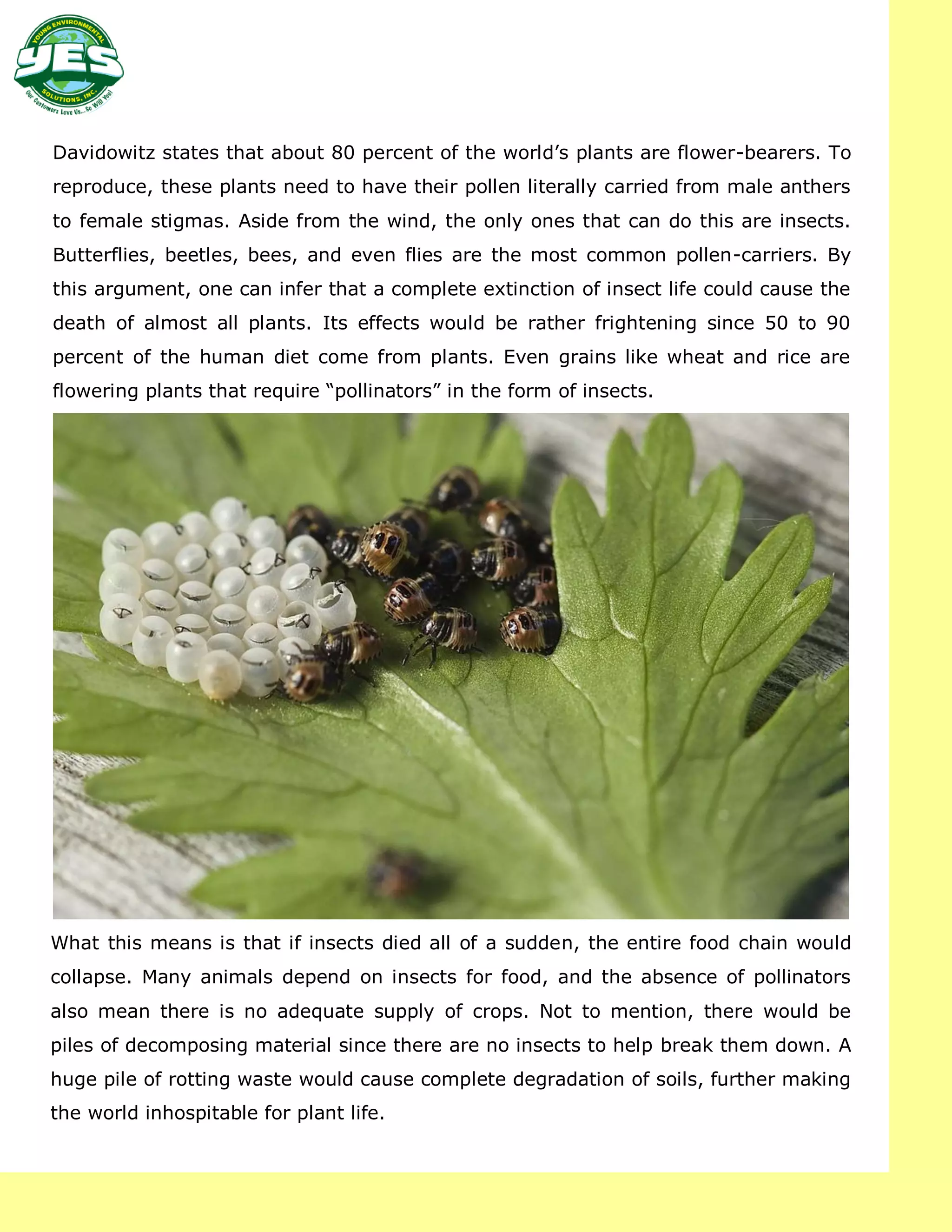 An Insect-less Earth: Gauging The Possibilities | PDF