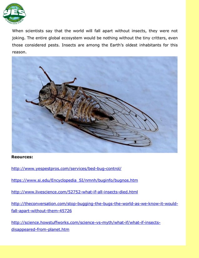 An Insect-less Earth: Gauging The Possibilities | PDF