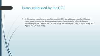 An Insightful Look On The CCJ.pptx