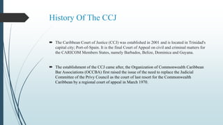An Insightful Look On The CCJ.pptx