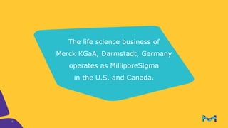 An Integrated Approach to Ensure Viral Vector and Gene Therapy ...