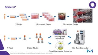 An Integrated Approach to Ensure Viral Vector and Gene Therapy ...