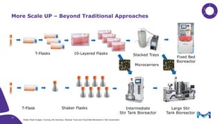 An Integrated Approach to Ensure Viral Vector and Gene Therapy ...