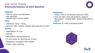 An Integrated Approach to Ensure Viral Vector and Gene Therapy ...