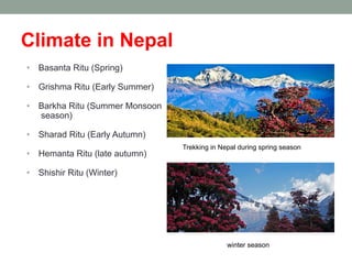 NEPAL- A HIMALAYAN NATION | PDF