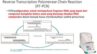 an Introduction of RT-PCR extended.en.id.pptx