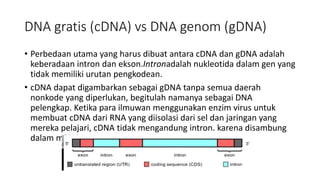 an Introduction of RT-PCR extended.en.id.pptx
