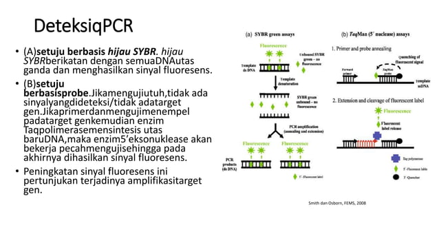 an Introduction of RT-PCR extended.en.id.pptx