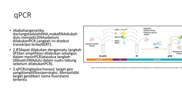an Introduction of RT-PCR extended.en.id.pptx