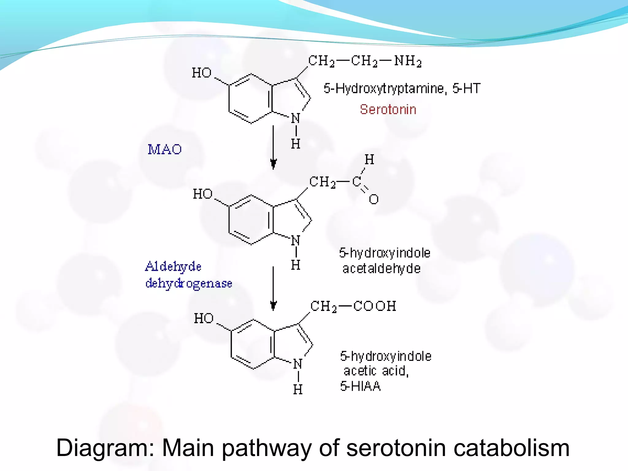 An introduction of serotonin | PPT | Digestive Disorders | Diseases and Conditions