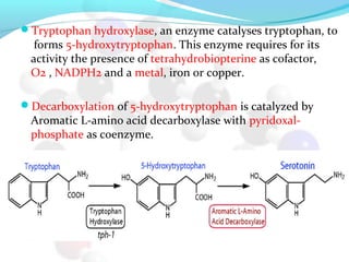 An introduction of serotonin | PPT | Digestive Disorders | Diseases and Conditions
