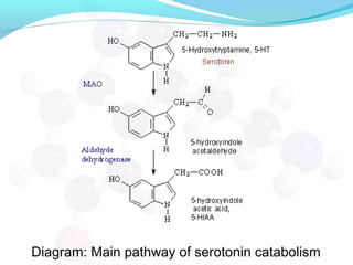 An introduction of serotonin | PPT