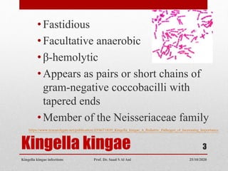An Introduction to childhood Kingella Kingae infections | PPTX