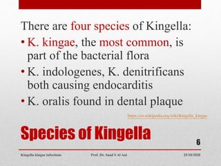 An Introduction to childhood Kingella Kingae infections | PPTX