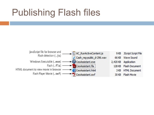 An introduction to adobe flash cs3 | PPTX