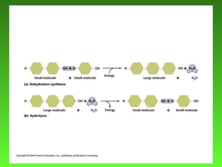 An Introduction To Biological Compounds | POT | Chemistry | Science