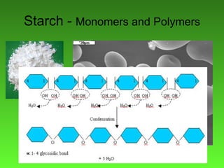 An Introduction To Biological Compounds | POT | Chemistry | Science