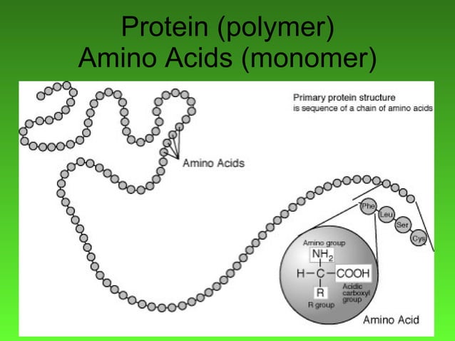 An Introduction To Biological Compounds | PPT