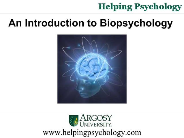 An Introduction to Biopsychology | PPT | Brain and Nervous System ...