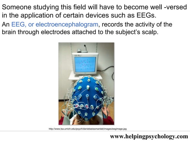 An Introduction to Biopsychology | PPT | Brain and Nervous System Disorders | Diseases and ...
