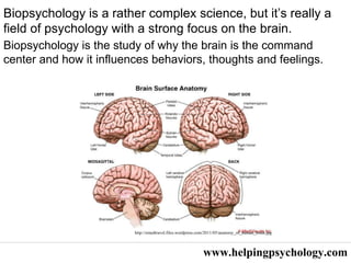An Introduction to Biopsychology | PPT