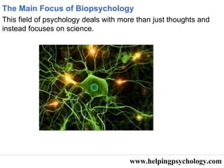 An Introduction to Biopsychology | PPT