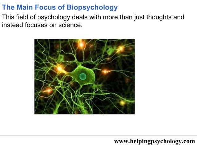 An Introduction to Biopsychology | PPT | Brain and Nervous System ...