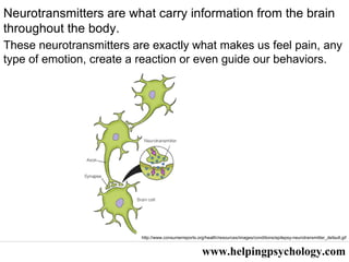 An Introduction to Biopsychology | PPT