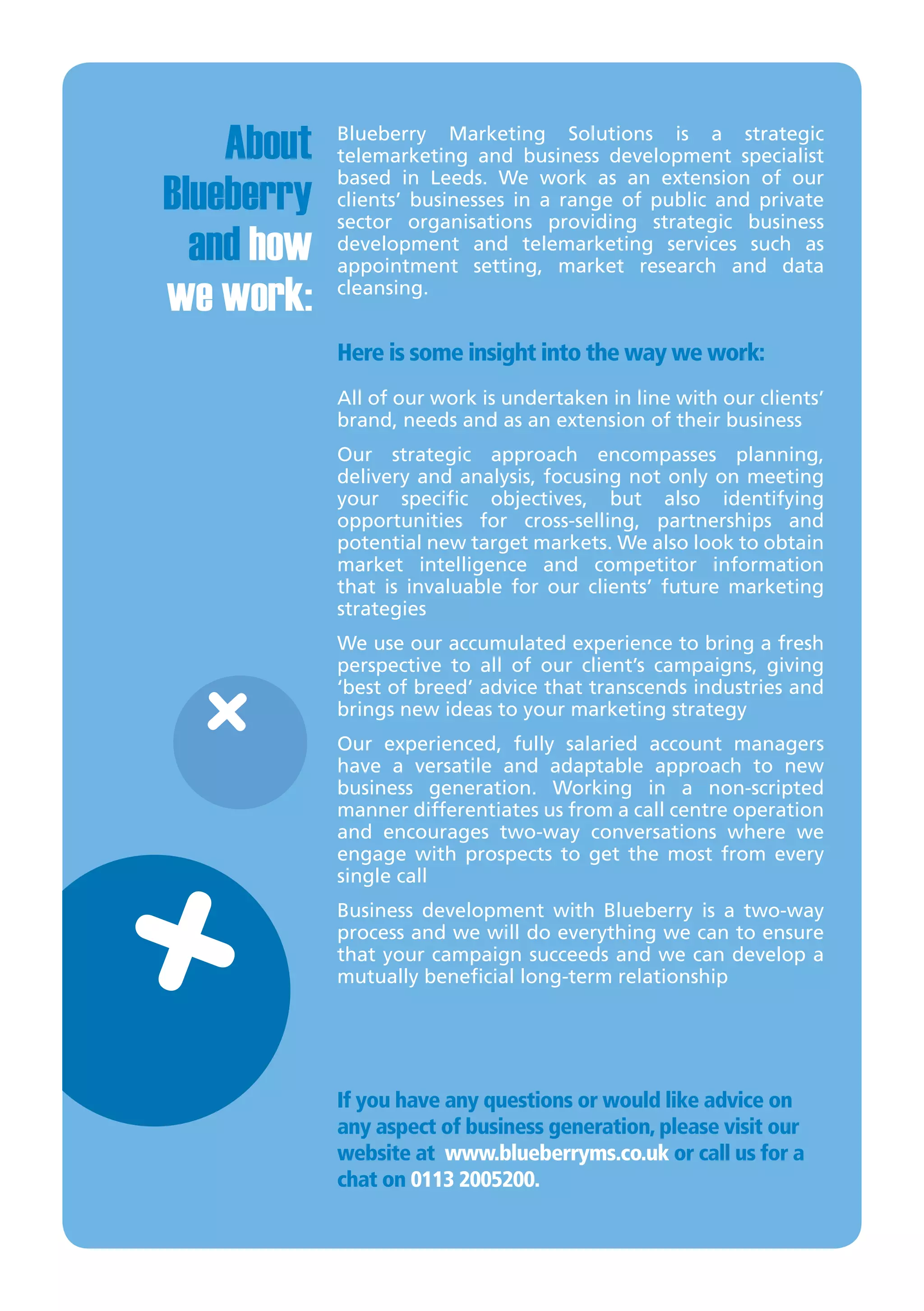 An Introduction To Blueberry Marketing Solutions | PDF