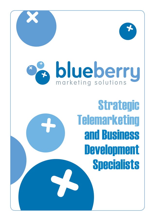 An Introduction To Blueberry Marketing Solutions | PDF