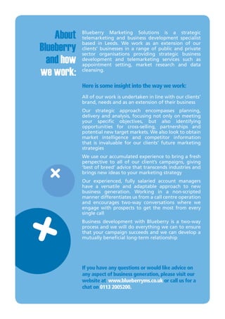 An Introduction To Blueberry Marketing Solutions | PDF