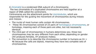 AN INTRODUCTION TO CELL.pptx