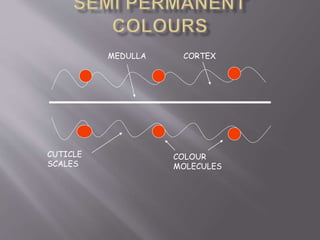 An introduction to colour | PPTX