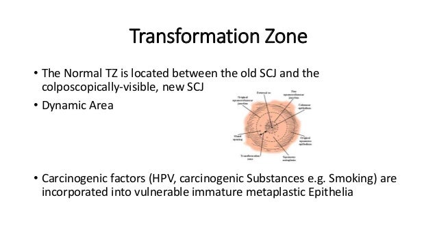 An Introduction to Colposcopy Grothuesmann