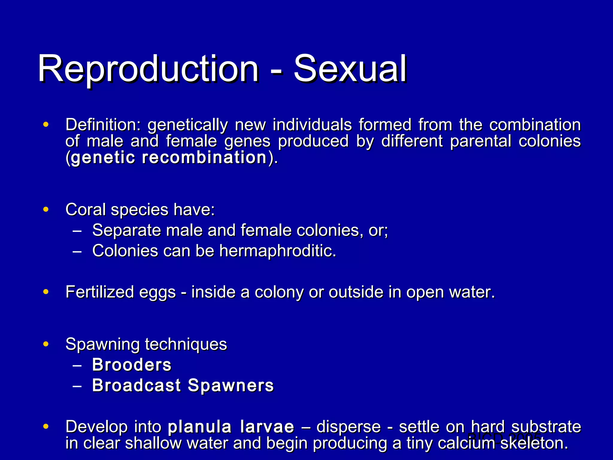 An Introduction To Coral Reefs Ppt