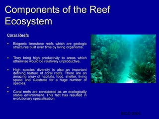 An Introduction to Coral Reefs | PPT