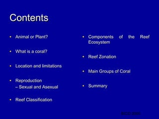 An Introduction to Coral Reefs | PPT