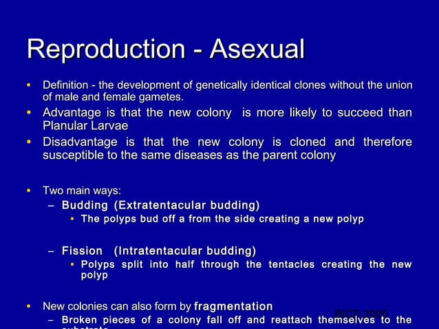 An Introduction to Coral Reefs | PPT