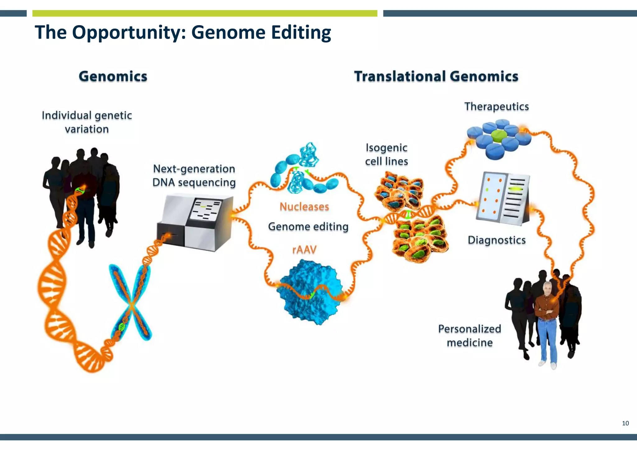 An Introduction to Crispr Genome Editing | PPTX