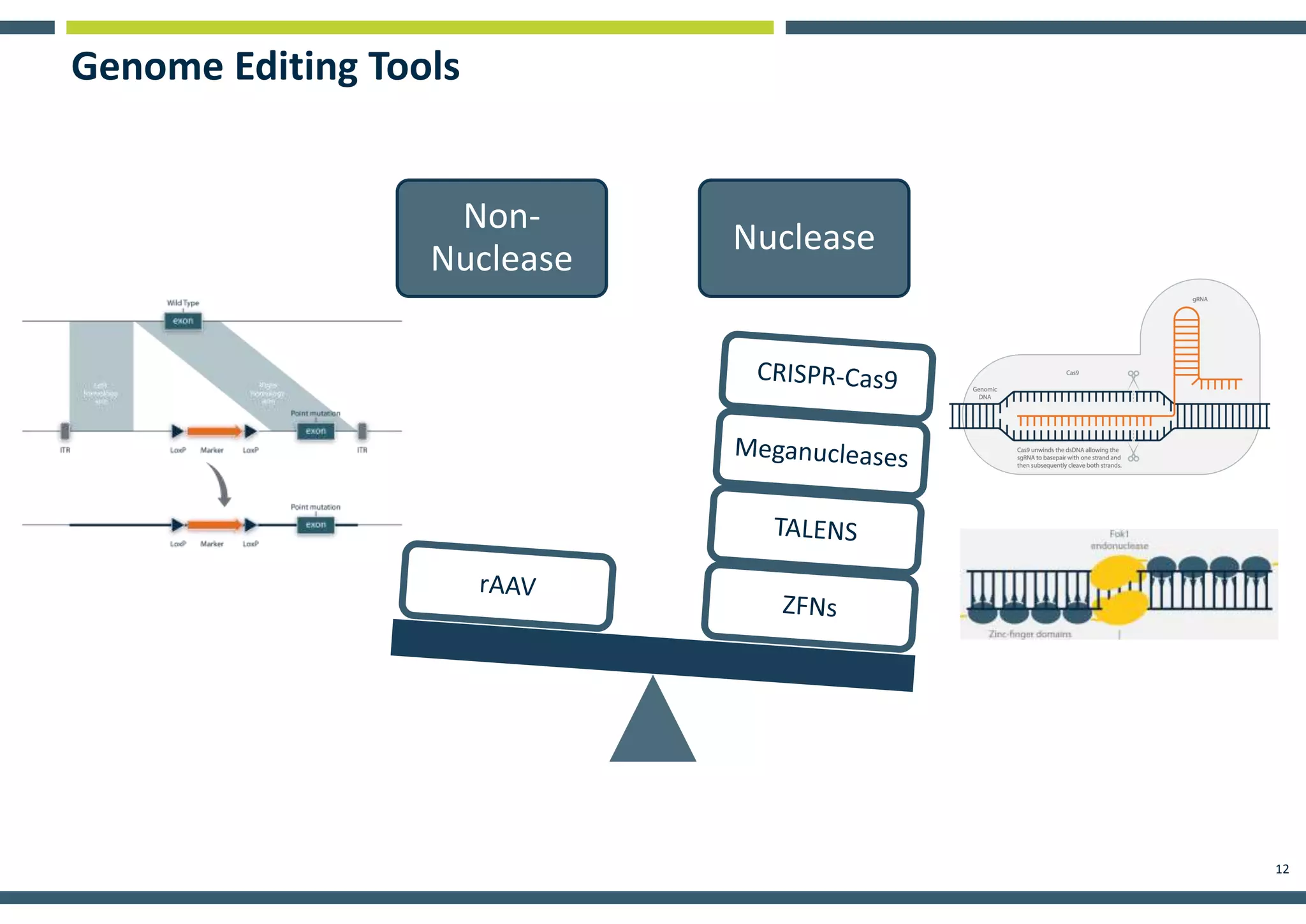 An Introduction to Crispr Genome Editing | PPTX