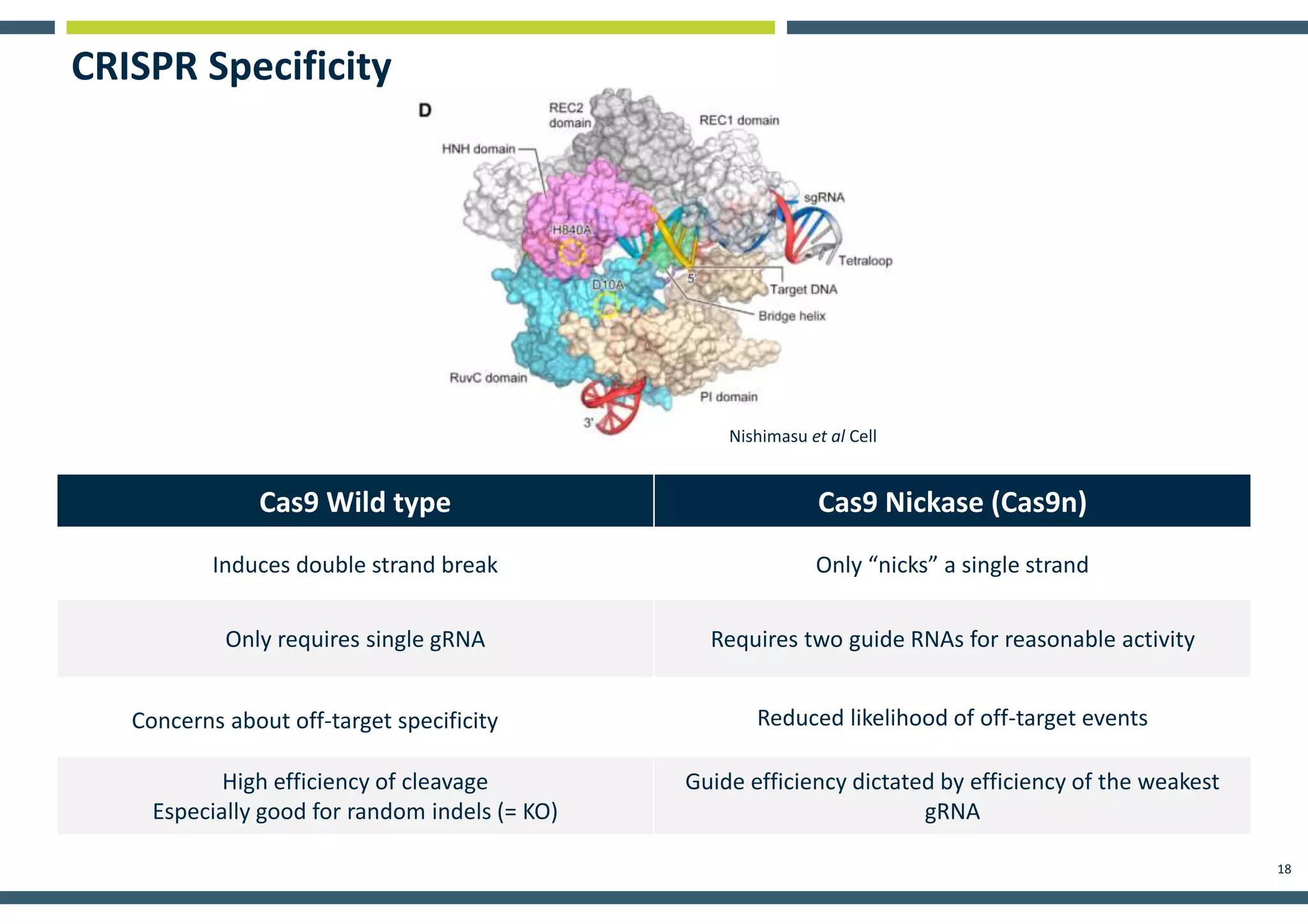 An Introduction to Crispr Genome Editing | PPTX