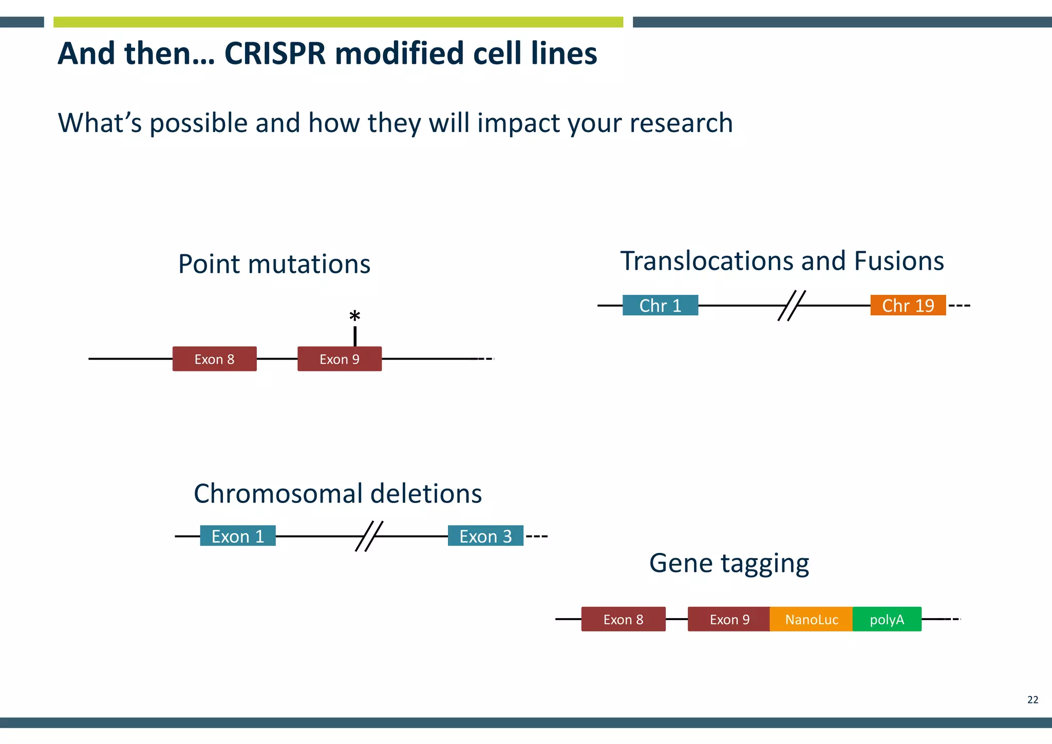 An Introduction to Crispr Genome Editing | PPTX