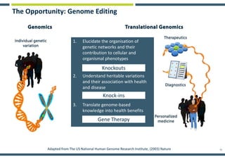 An Introduction to Crispr Genome Editing | PPTX