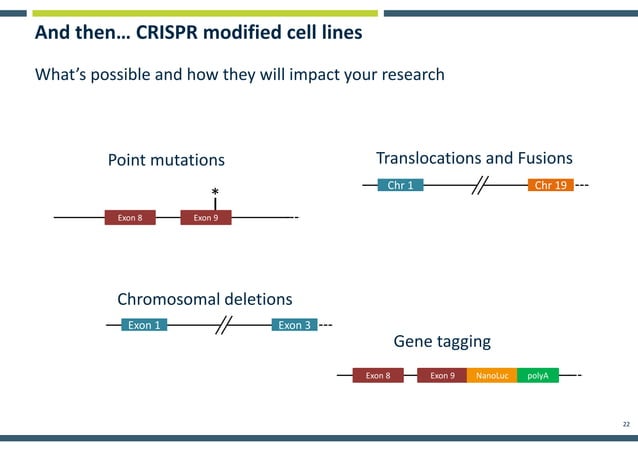 An Introduction to Crispr Genome Editing | PPTX