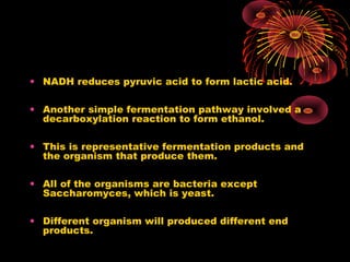 An introduction to fermentation process | PPT